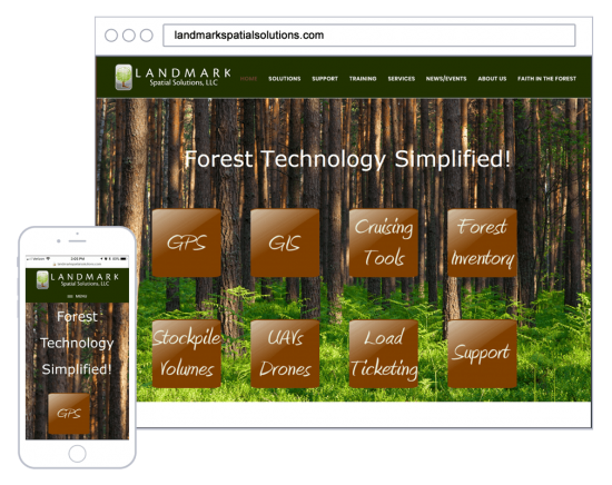 Landmark Spatial Solutions - FGen IT